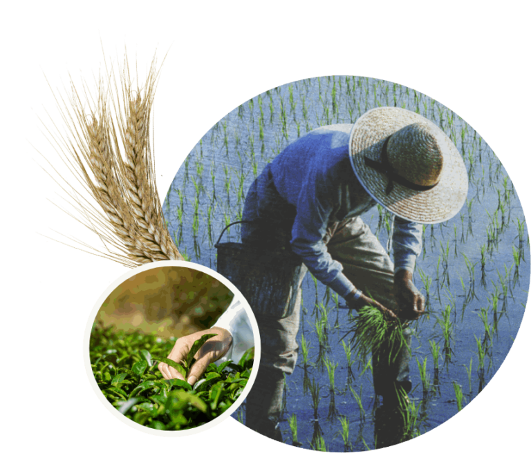 Green Farm Elementor Pro